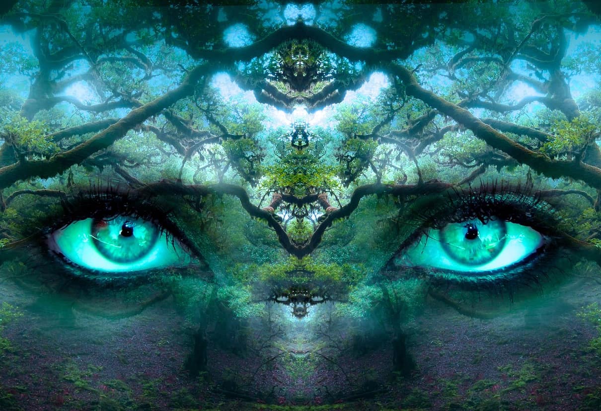 Dryads - Katherine Dotterer